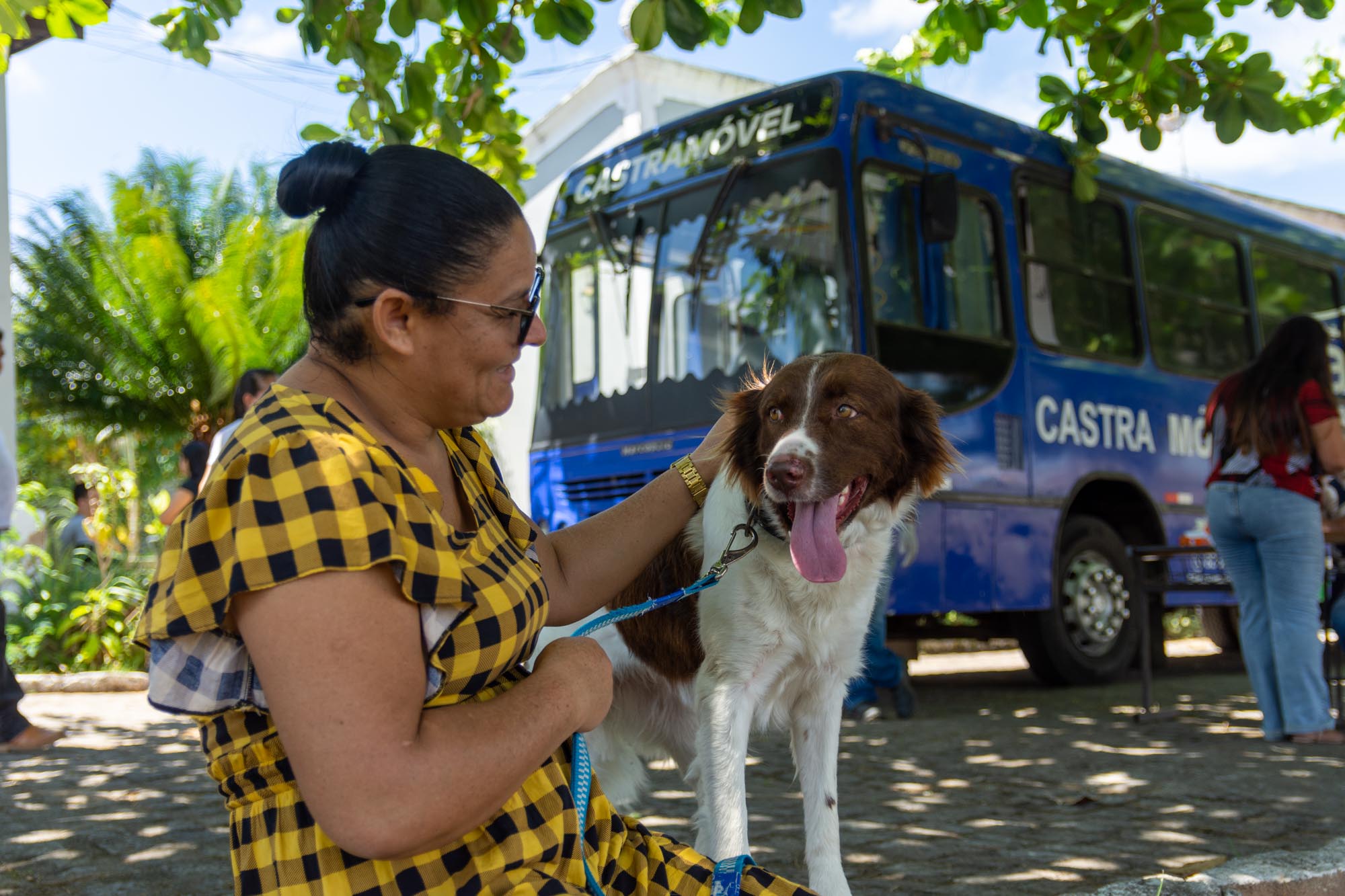 'Ação que cuida do animal', avalia dona de cão castrado no serviço da ...