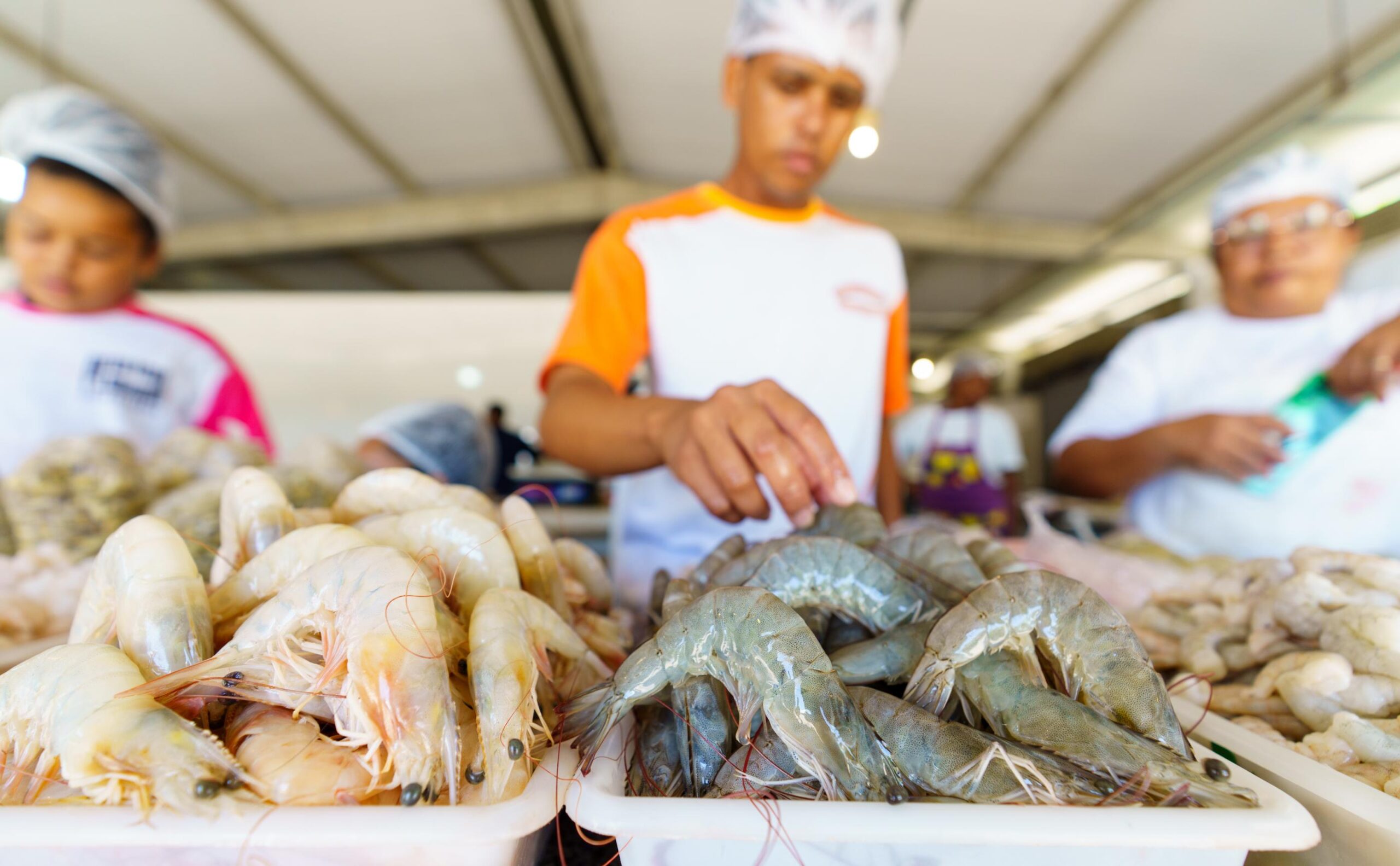 Fapeal e Ministério da Pesca lançam edital para o ensino médio - Sertão ... Fapeal e Ministério da Pesca lançam edital para o ensino médio - Sertão ...